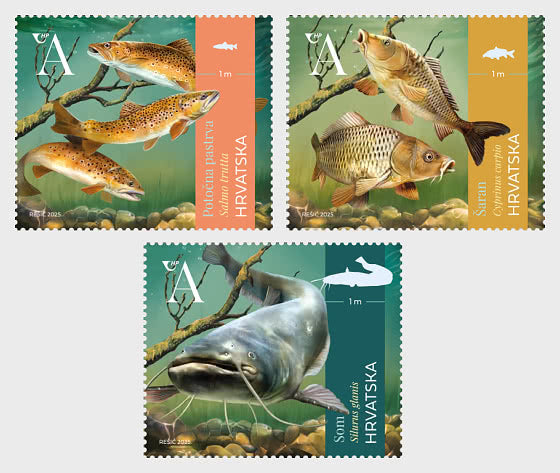 Croatia - 2025 Croatian Fauna - Freshwater Fish - Set of 3 (MNH ...