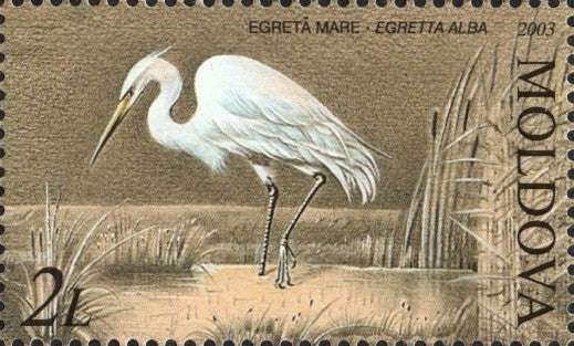 #461-464 Moldova - Birds From Red Book of Moldova, Set of 4 (MNH ...